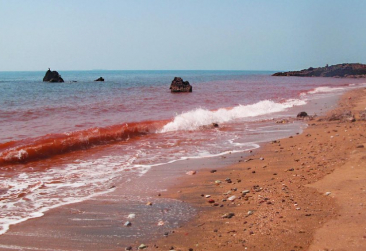 Учени установиха, че Червено море прилича на млад океан - DUNAVMOST.com