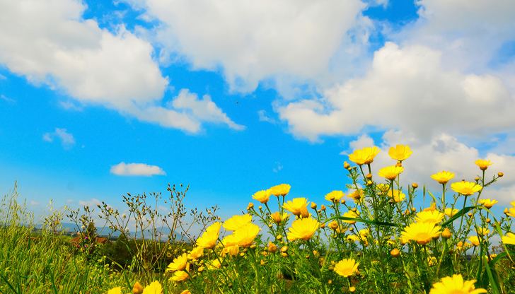 Слънчева и топла неделя - DUNAVMOST.com